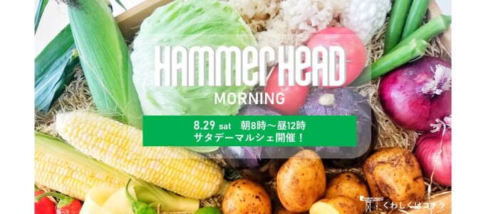 横浜ハンマーヘッド｜YOKOHAMA HAMMERHEAD